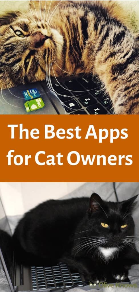 The Best Apps for Cat Owners - OliveKnows