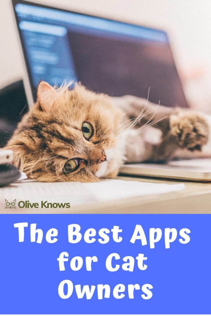 The Best Apps for Cat Owners - OliveKnows