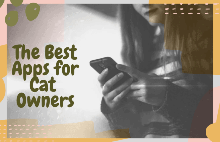 The Best Apps for Cat Owners - OliveKnows