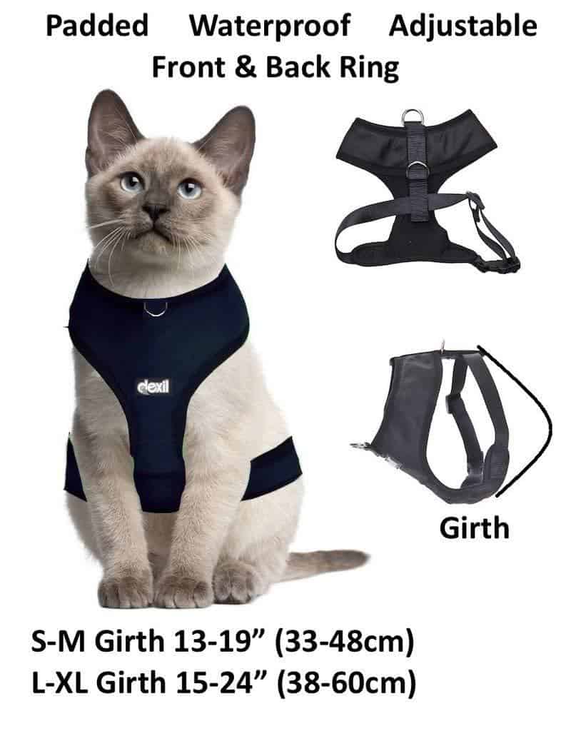 The Best Cat Harness that Your Cat Will Love - OliveKnows