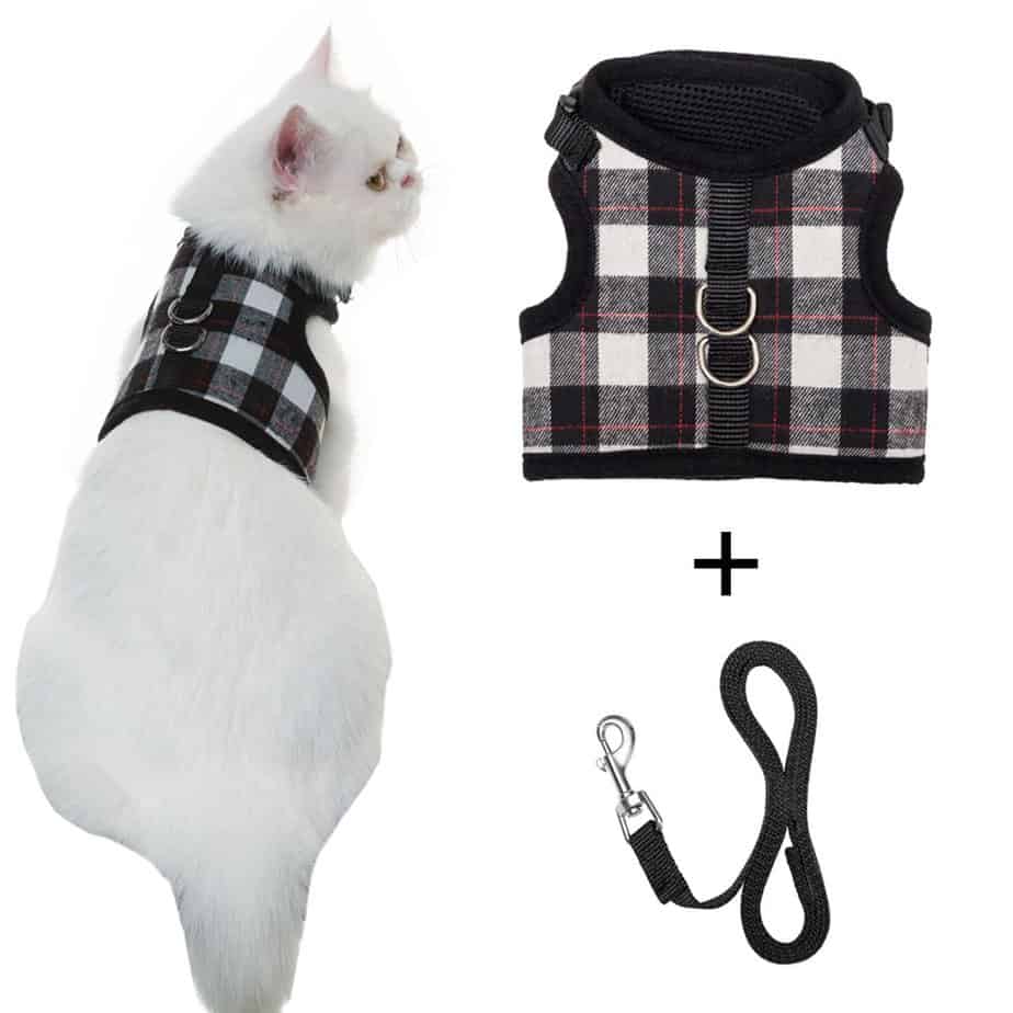 The Best Cat Harness that Your Cat Will Love | OliveKnows
