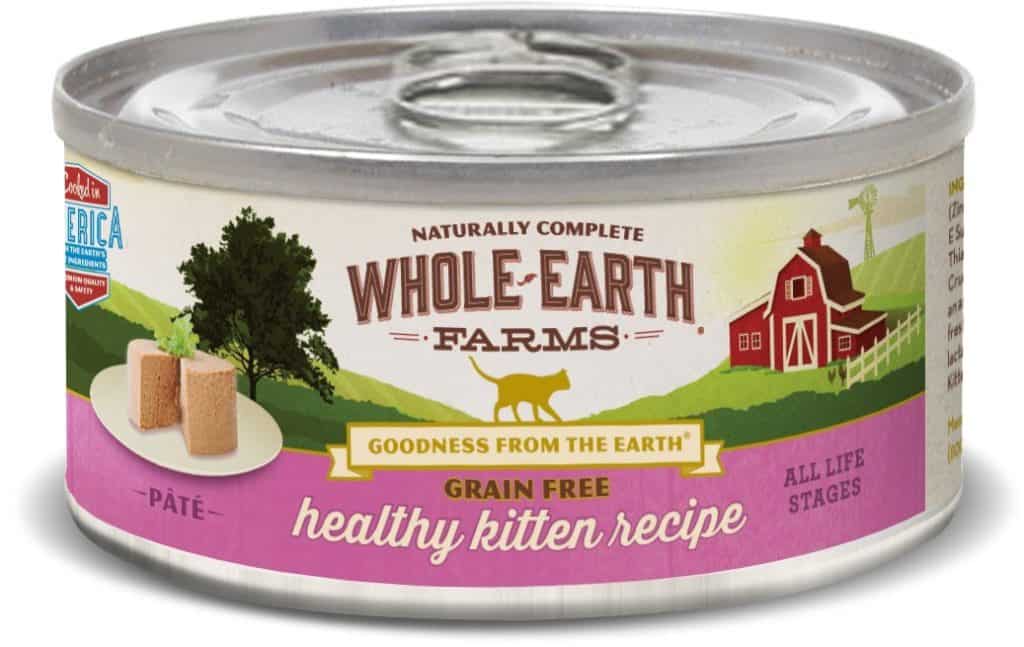 Best Kitten Food for Your Little Feline: 2020 Edition | OliveKnows