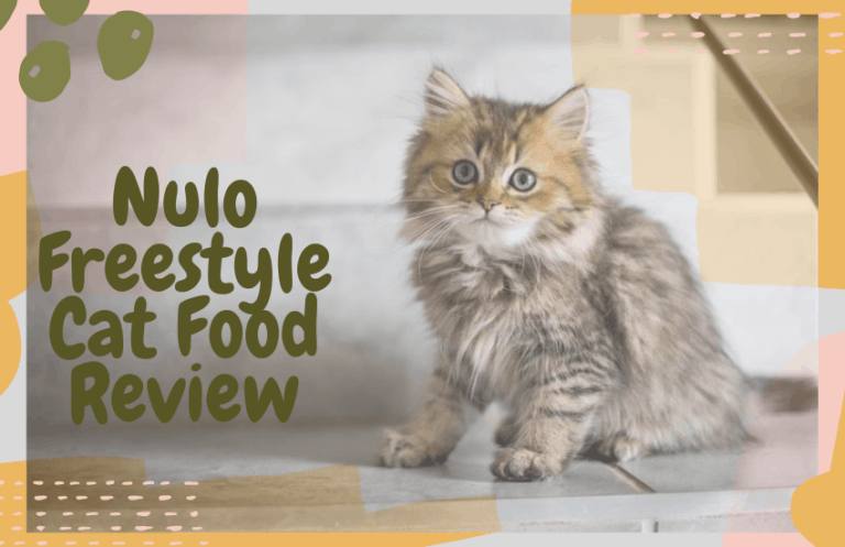 Nulo Freestyle Chicken & Cod Grain-Free Cat Food Review - OliveKnows