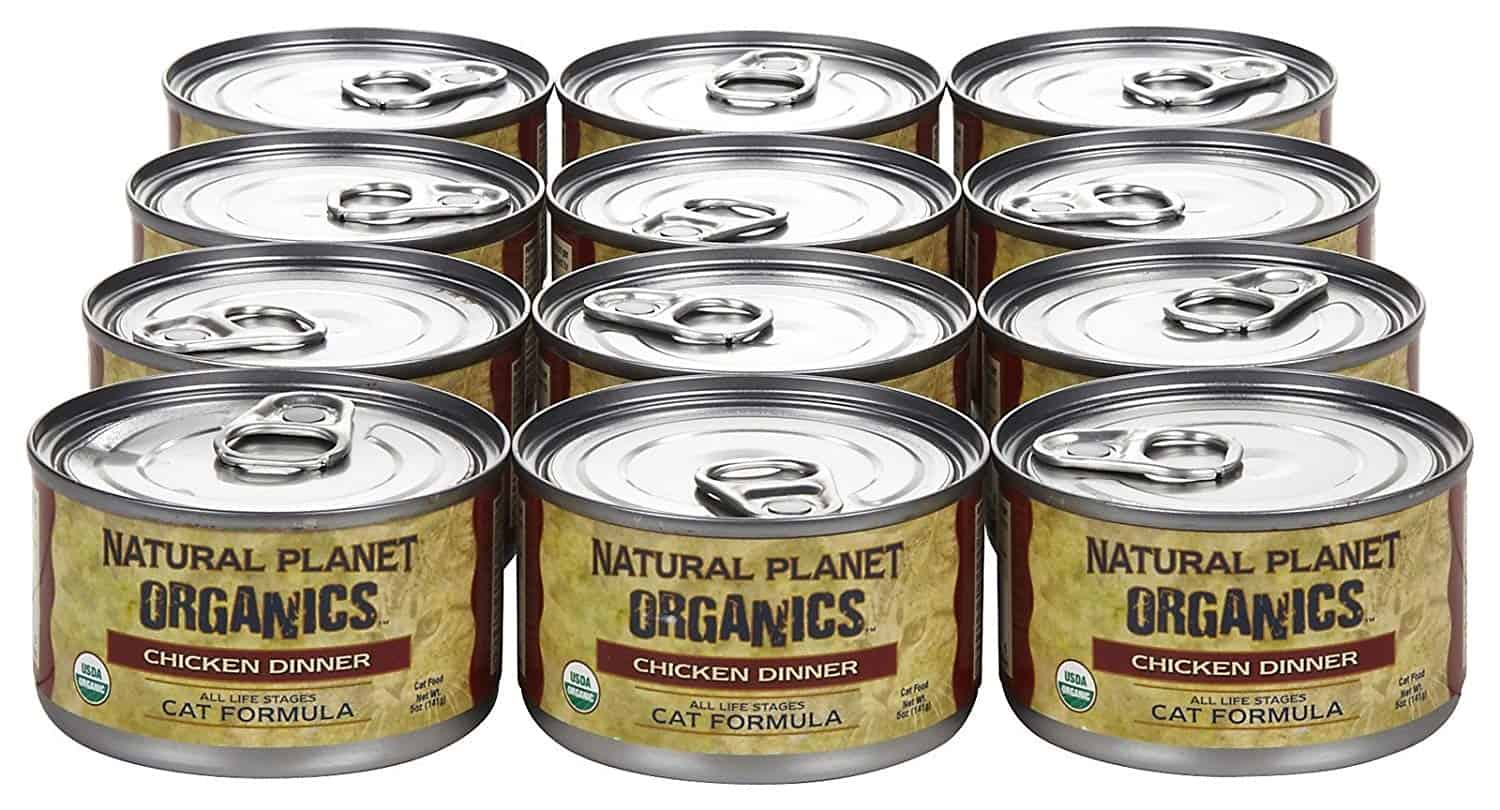 Best Organic Kitten Food [NEW 2020 Picks] | OliveKnows