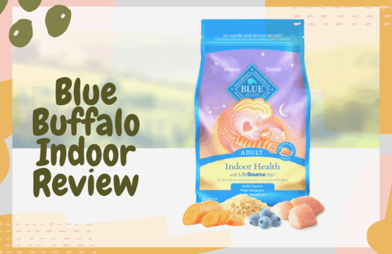 Blue Buffalo Indoor Health Cat Food Review - OliveKnows