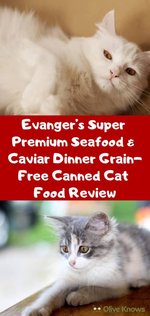 Evanger's Super Premium Seafood & Caviar Dinner Grain-Free Canned Cat ...