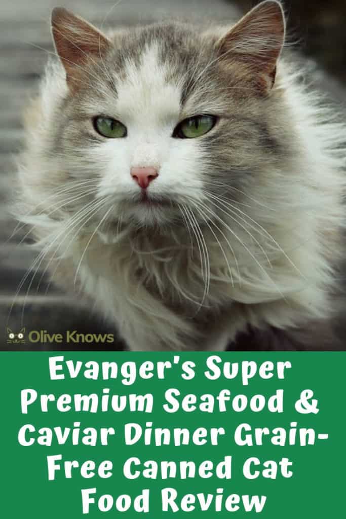 Evanger's Super Premium Seafood & Caviar Dinner Grain-Free Canned Cat ...