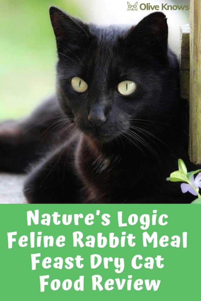 Nature's Logic Feline Rabbit Meal Feast Dry Cat Food Review - OliveKnows