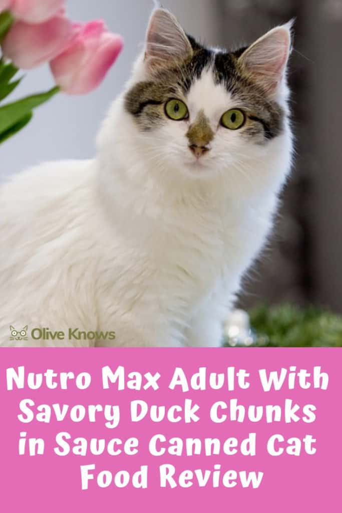 Nutro Max Adult With Savory Duck Chunks in Sauce Canned Cat Food Review ...