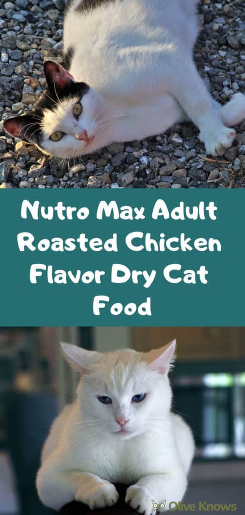 Nutro Max Adult Roasted Chicken Flavor Dry Cat Food - OliveKnows