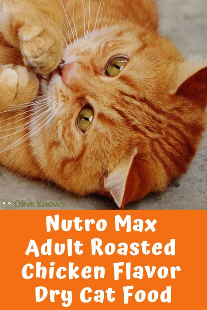 Nutro Max Adult Roasted Chicken Flavor Dry Cat Food - OliveKnows