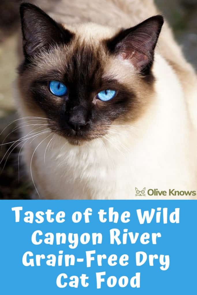 Taste of the Wild Rocky Mountain Grain-Free Dry Cat Food Review ...