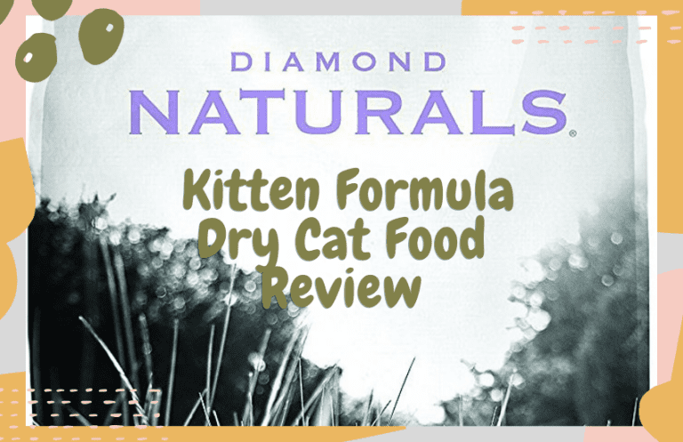 Diamond Naturals Kitten Formula Dry Cat Food Review - OliveKnows