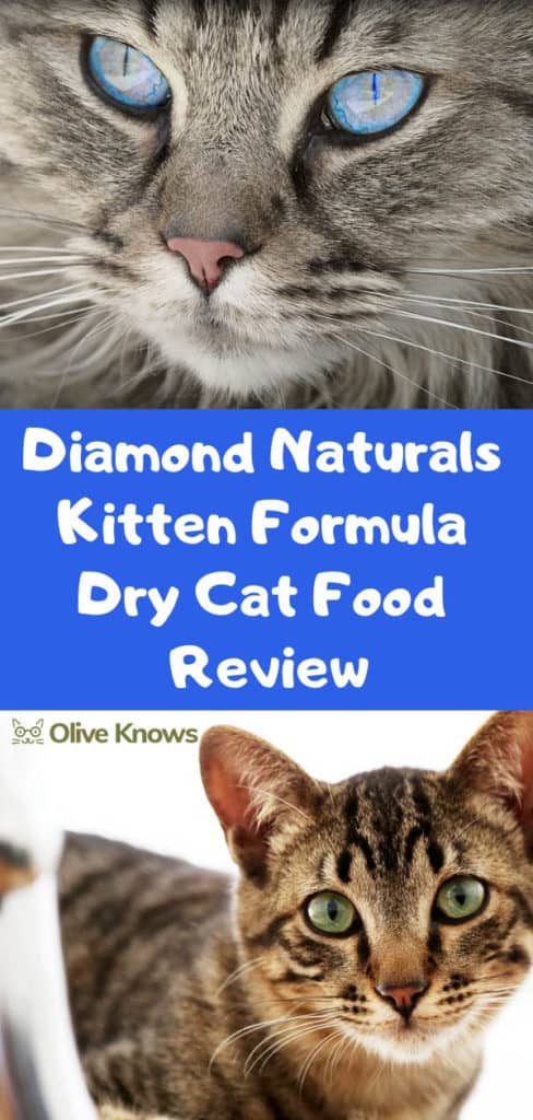 Diamond Naturals Kitten Formula Dry Cat Food Review - OliveKnows