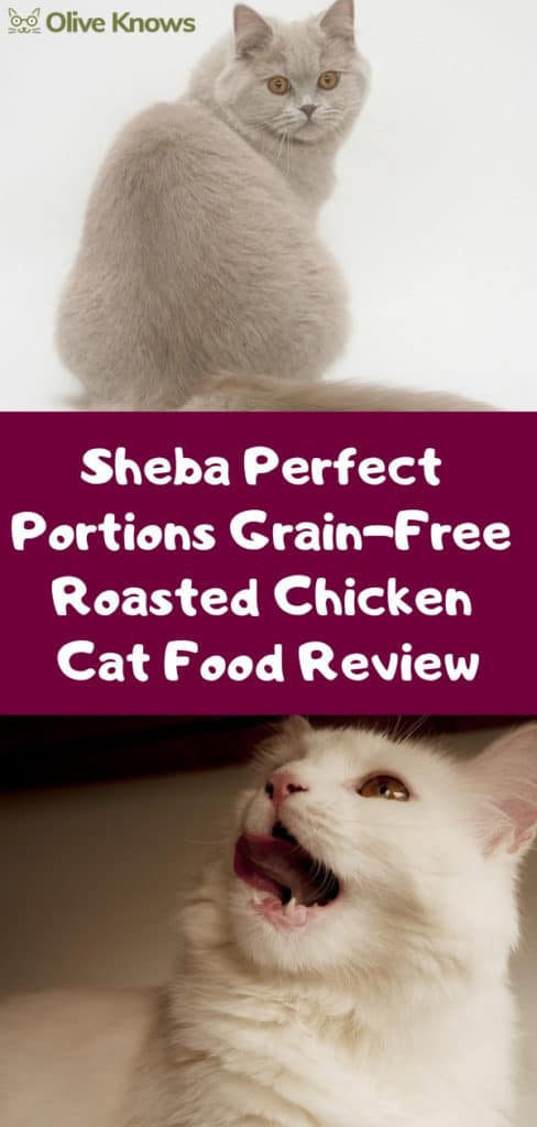 Sheba Perfect Portions Grain-Free Roasted Chicken Cat Food Review ...