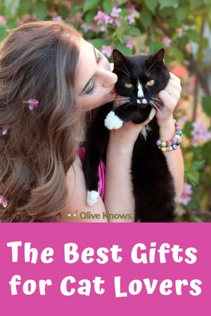 The Best Gifts for Cat Lovers - OliveKnows