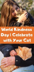 World Kindness Day | Celebrate with Your Cat - OliveKnows