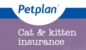 Petplan vs Healthy Paws Insurance: Which Is The Best? | OliveKnows