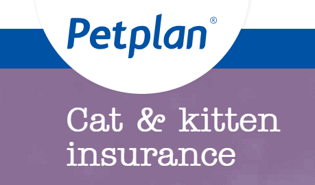 Petplan vs Healthy Paws Insurance: Which Is The Best? | OliveKnows