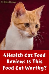 4Health Cat Food Review [2022]: Is This Food Cat Worthy? - OliveKnows