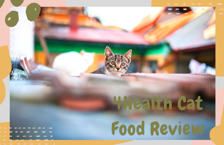4Health Cat Food Review [2022]: Is This Food Cat Worthy? - OliveKnows