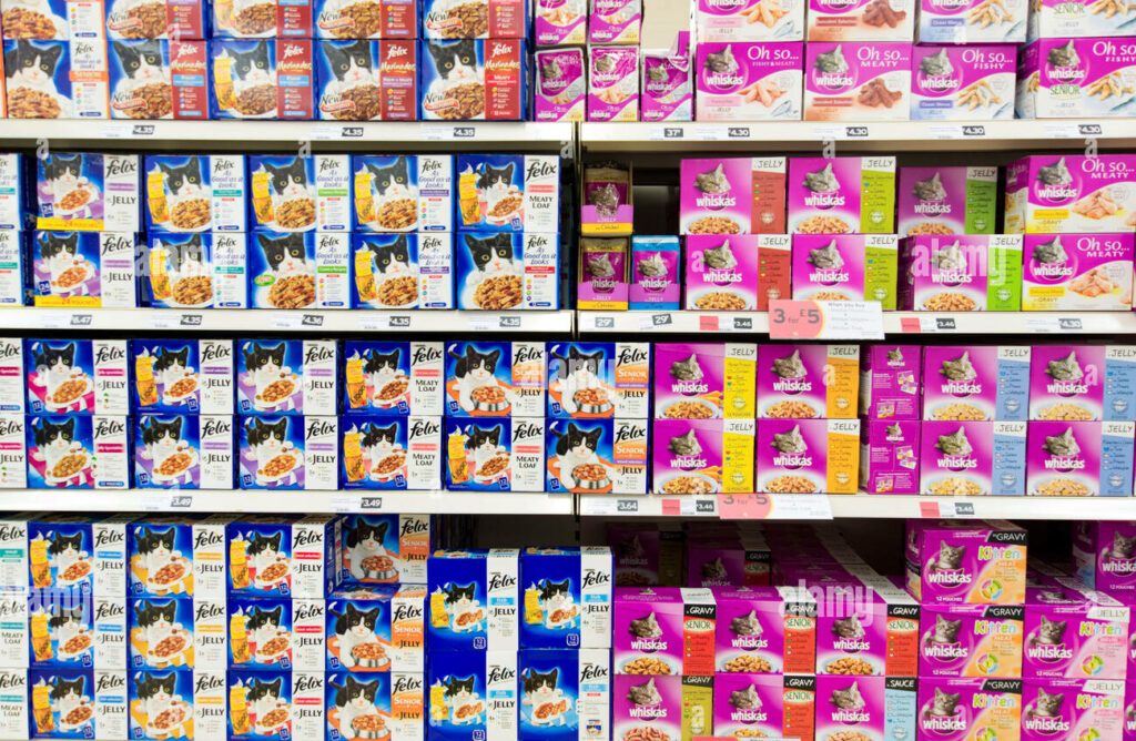 How to Find the Best Cat Food - OliveKnows